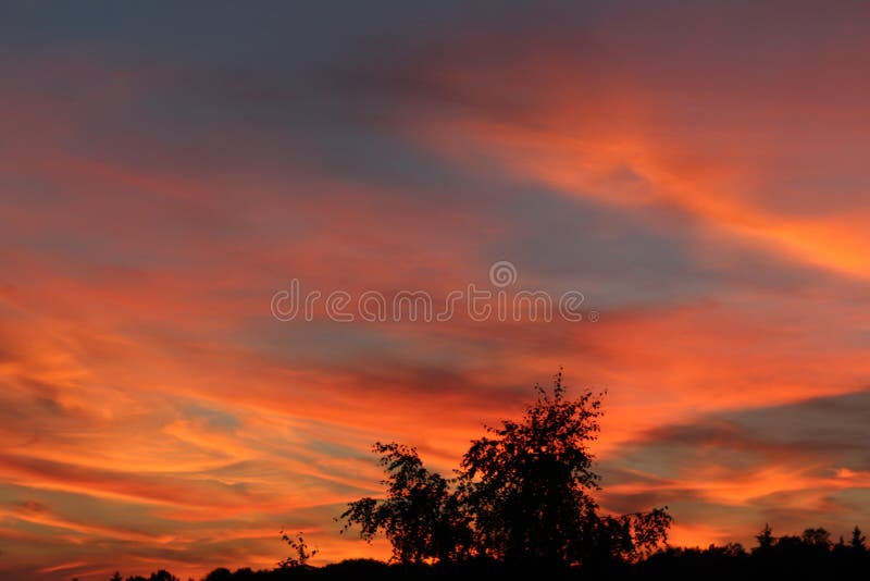 Sunset stock image. Image of gradient, nature, trees - 127063031