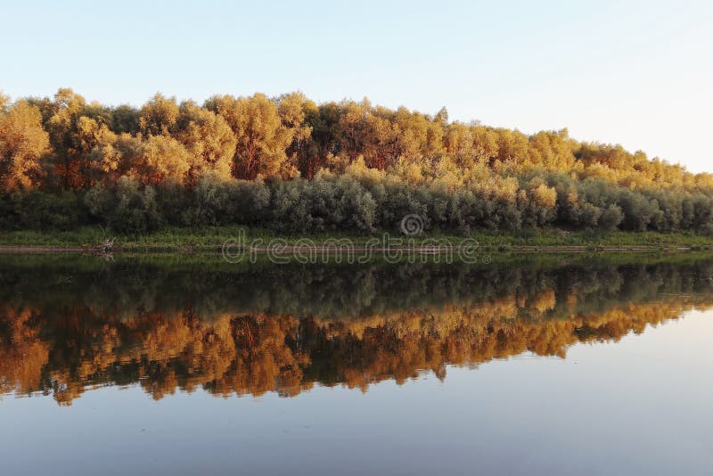 Sunset Colors Trees Reflection in Mirror Water River Stock Image ...