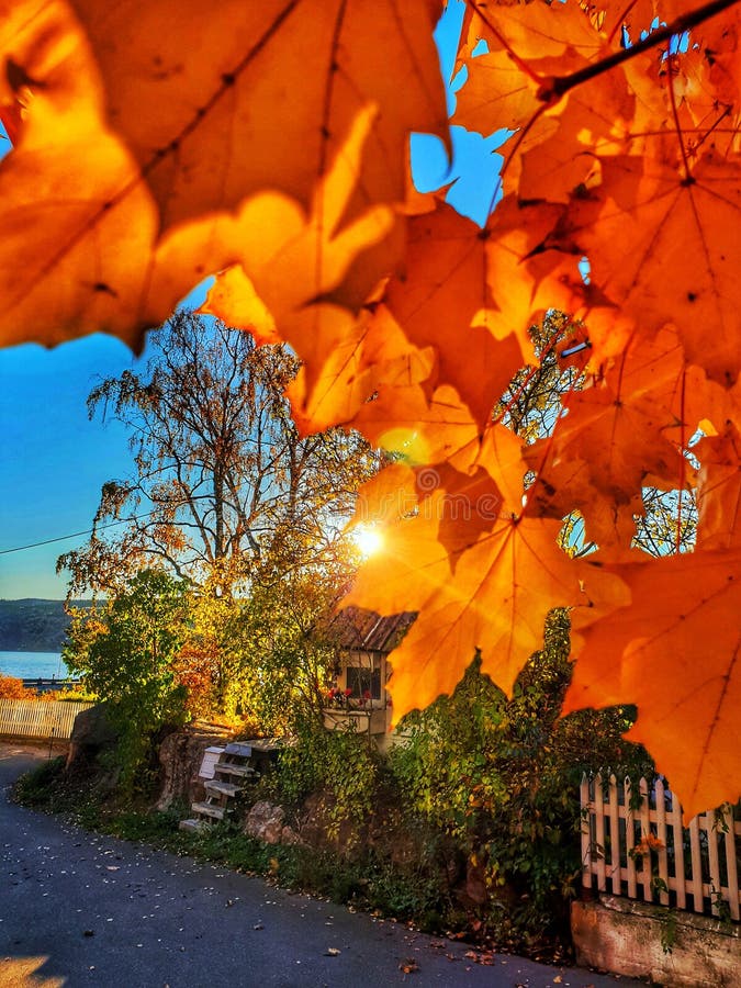 Colors of autmn stock photo. Image of colors, sunset - 129211356