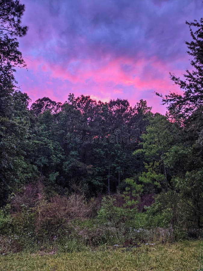Sunset cotton candy Skies stock image. Image of woodland - 218331685