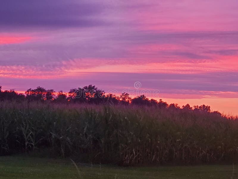 Sunset at the country side stock image. Image of evening - 49839691