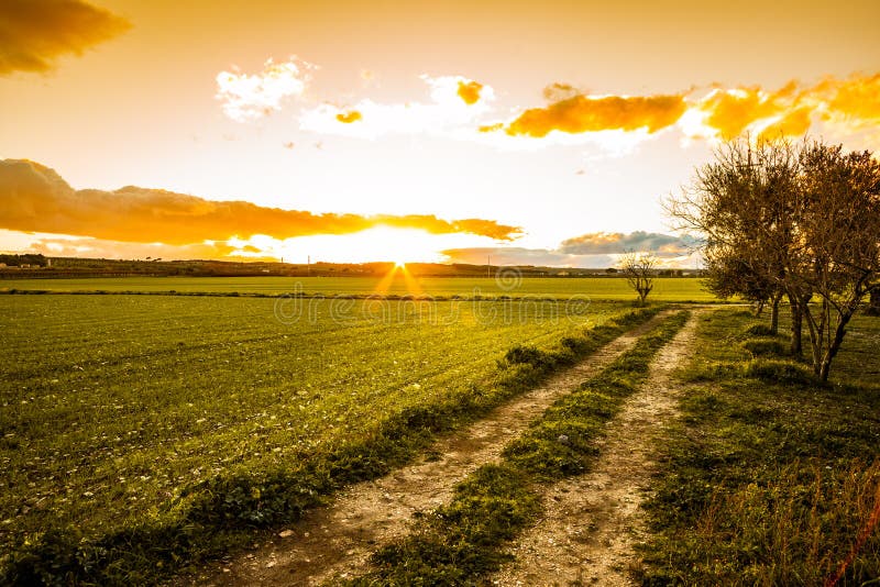 Sunset at the country side stock image. Image of sunset - 49839701