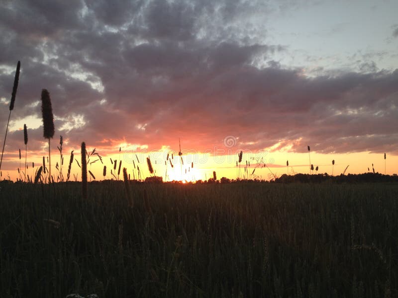Sunset at the country side stock image. Image of evening - 49839691