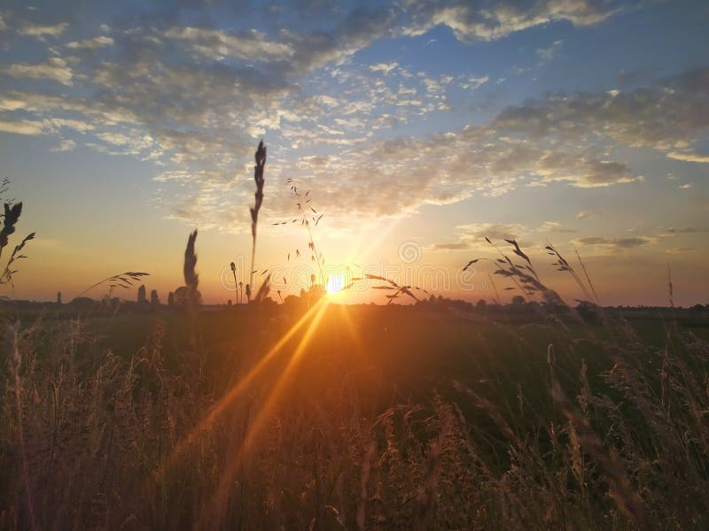 Sunset in the countryside stock image. Image of plain - 190055105