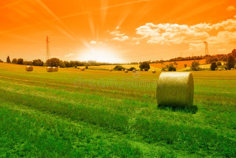 Sunset in countryside stock photo. Image of agriculture - 26194102