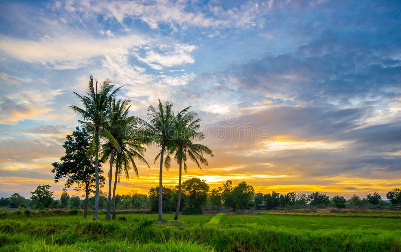 Sunset Countryside Landscape Stock Image - Image of sunset, park: 54503333