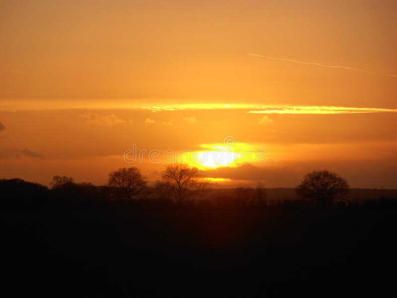 ,Orange Sky at Night stock image. Image of trees, night - 153634169