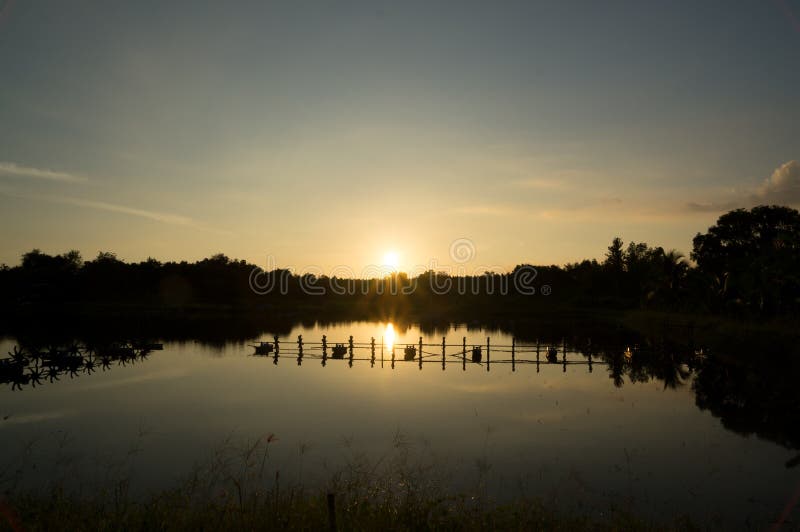 Sunset in countryside stock image. Image of leaves, countryside - 101405711