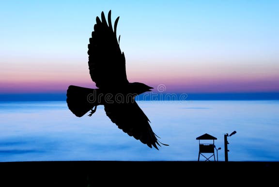 Sunset and crow stock image. Image of glow, barbican - 11206579