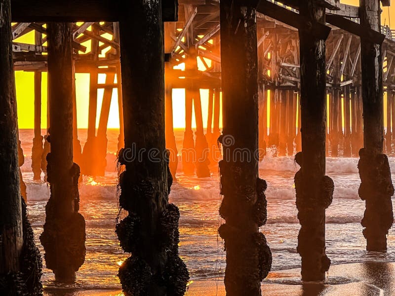 Sunset at crystal pier stock image. Image of diego, pilings - 241801905