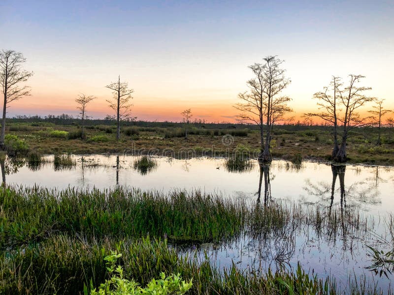 River at Sunset in the Swamp Stock Image - Image of louisiana, remote ...