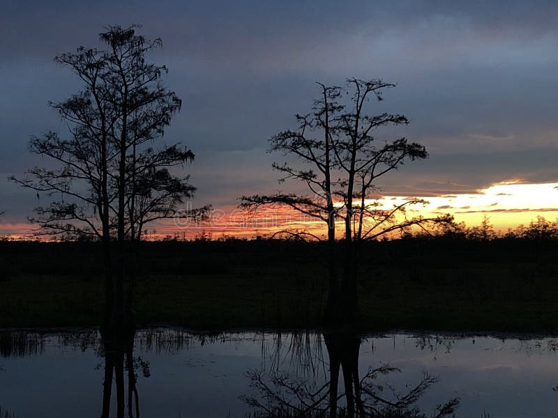 Swamp Sunsets in the Louisiana Marsh Stock Photo - Image of landscape ...