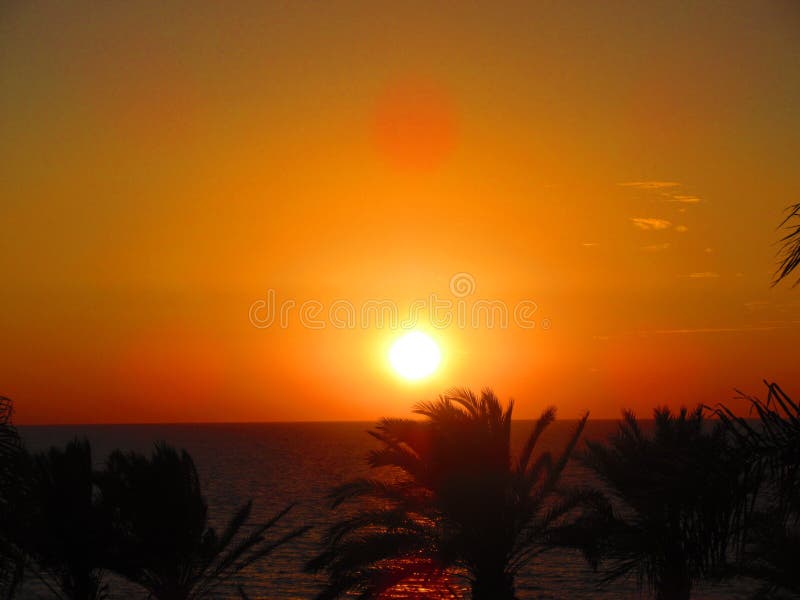 Sunset on cyprus resort stock image. Image of palm, holiday - 9681773