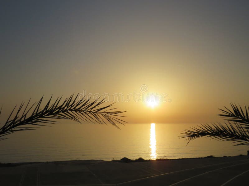 The sunset in Cyprus stock image. Image of tree, night - 186435779