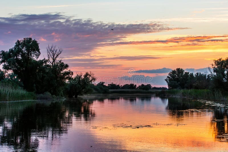 Sunset in Danube Delta stock image. Image of inundation - 79634565