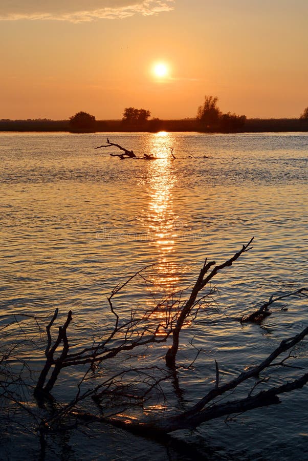 Danube Delta sunset stock image. Image of gorgeous, beautiful - 130069919