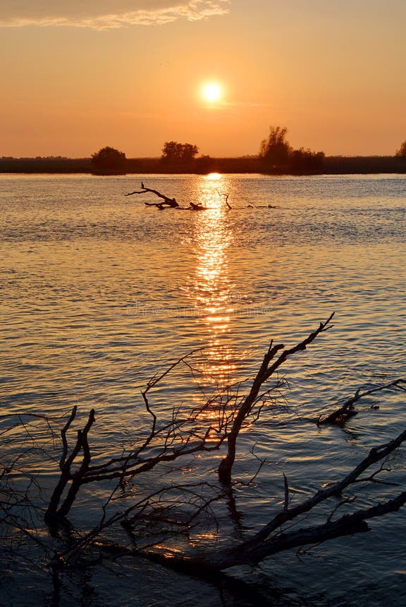 Danube Delta sunset stock photo. Image of lake, flow - 53709260