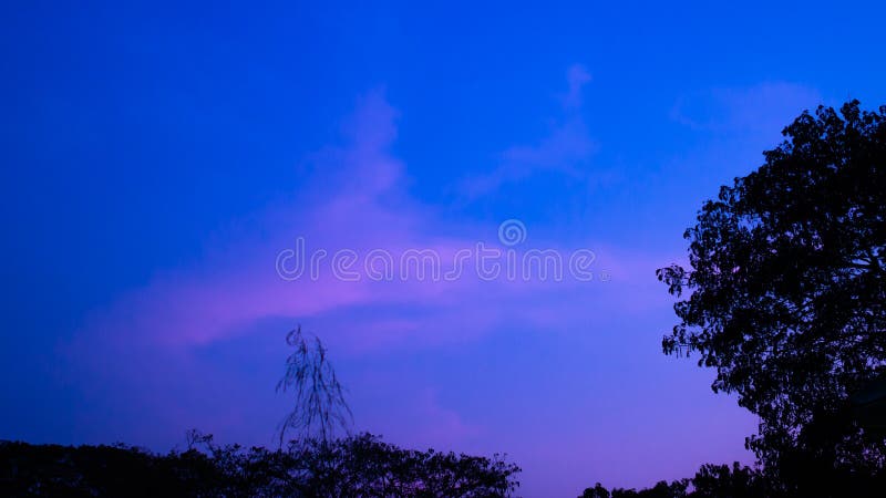 Sunset Dark Blue Sky, with Tree Shade. Dramatic Colour Stock Image ...