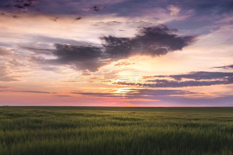 Sunset with Dark Clouds Over a Field with Grass _ Stock Image - Image ...