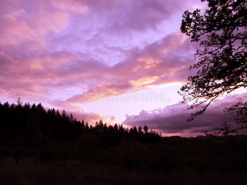 Sunset with dark trees stock image. Image of sunset, dark - 37041659