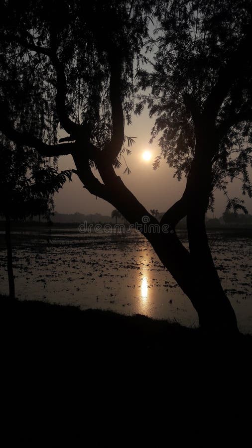 Sunset and darkness stock photo. Image of dark, coming - 116265600