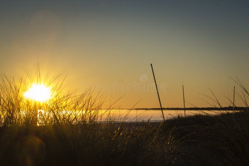 Sunset on Darss Peninsula, Germany Stock Image - Image of peninsula ...