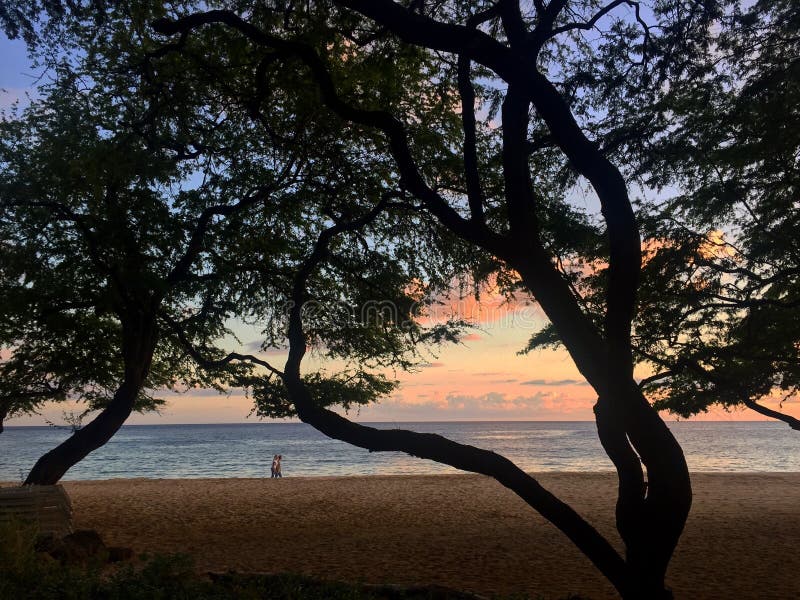 Sunset Date stock image. Image of beach, walking, sunset - 91834773