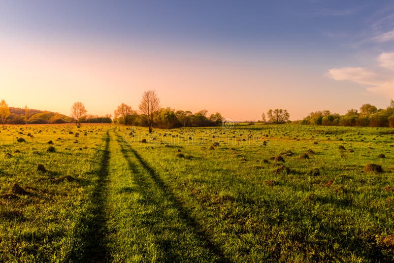 Sunset or Dawn in a Spring Field with Green Grass Stock Image - Image ...
