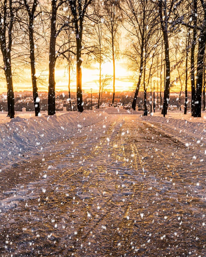 Sunset or Dawn in a Winter City Park with Trees, Benches and Sidewalks ...