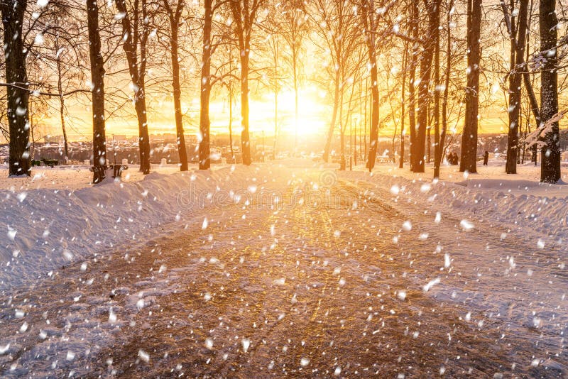 Sunset or Dawn in a Winter City Park with Trees, Benches and Sidewalks ...