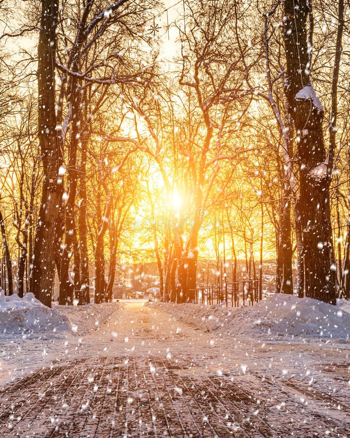 Sunset or Dawn in a Winter City Park with Trees, Benches and Sidewalks ...