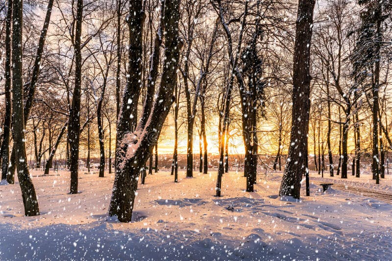 Sunset or Dawn in a Winter City Park with Trees, Benches and Sidewalks ...