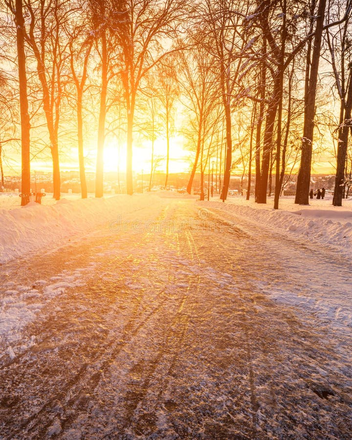 Sunset or Dawn in a Winter City Park with Trees, Benches and Sidewalks ...