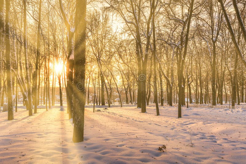 Sunset or Dawn in a Winter City Park with Trees, Benches and Sidewalks ...