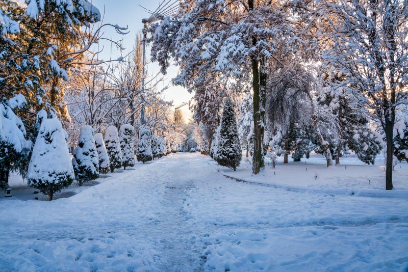 Sunset or Dawn in a Winter City Park with Trees Covered with Snow and ...