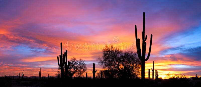 Sunset in desert. stock image. Image of paloverde, desert - 18893117