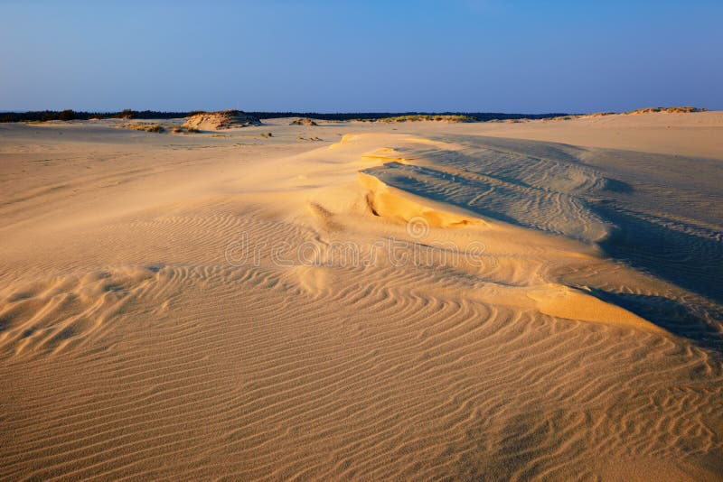 Dunes stock image. Image of abstract, texture, lithuania - 321203