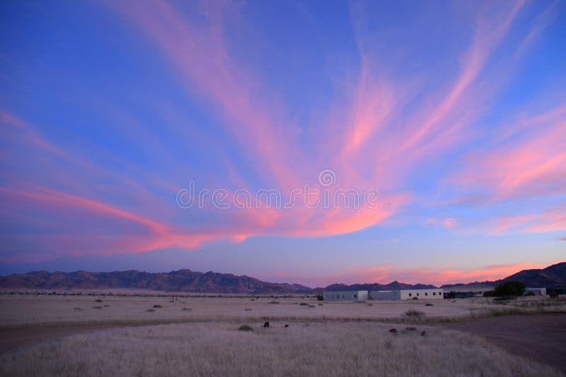 Sunset in the desert stock photo. Image of desert, evening - 26117150