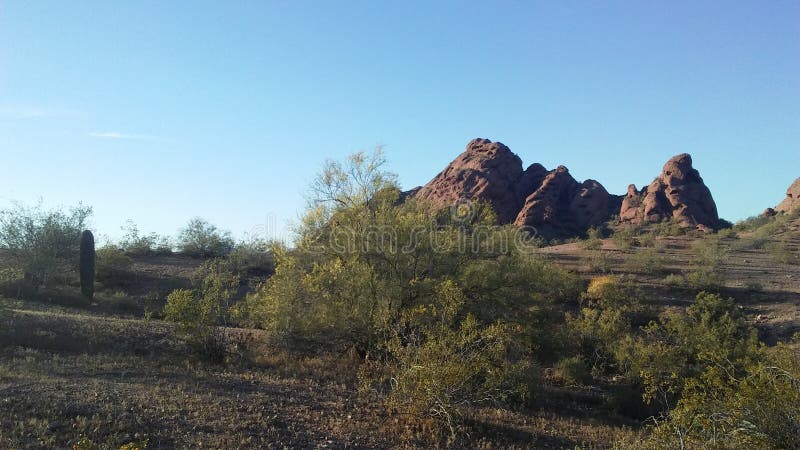 Sunset in Desert with Red Rocks in Phoenix, Arizona. Stock Photo ...