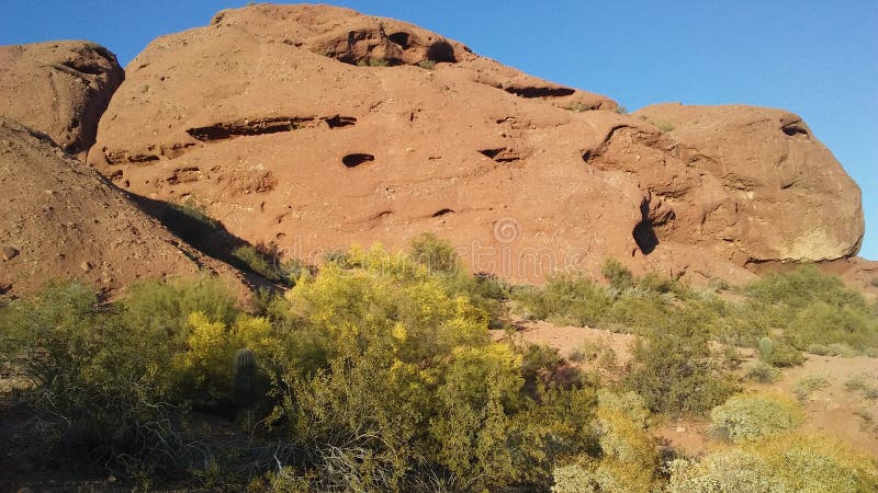 Sunset in Desert with Red Rocks in Phoenix, Arizona. Stock Image ...