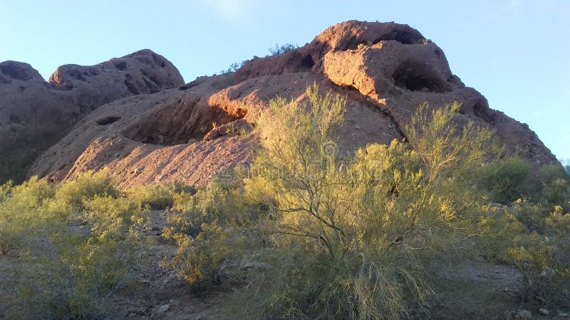 Sunset in Desert with Red Rocks in Phoenix, Arizona. Stock Image ...