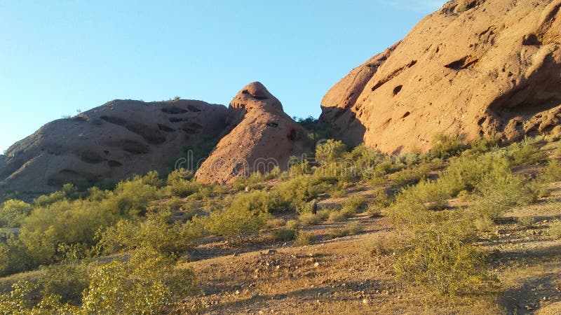 Sunset in Desert with Red Rocks in Phoenix, Arizona. Stock Photo ...