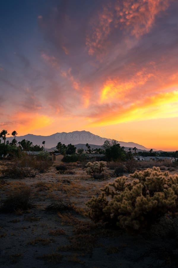 Sunset in the Desert with Shrubs and Mountains Behind it, Stock Image ...