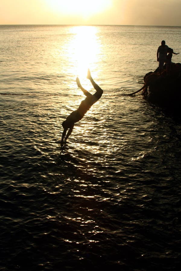 Sunset diving stock image. Image of evening, swimming - 57458991