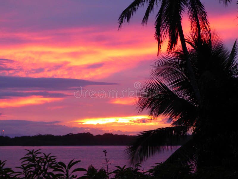 Sunset at the Dock, Bastimentos, Panama Stock Image - Image of bird ...