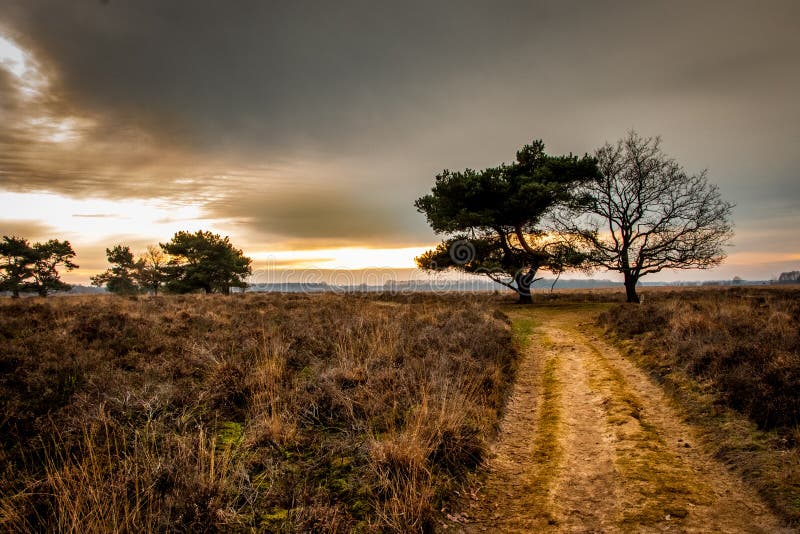Sunset and a Dramatic Sky at the Nature Reserve `Matingerveld` Stock ...