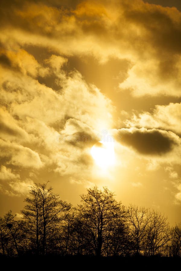 Danish Sunset Above a Forest with Dramatic Sky Stock Image - Image of ...