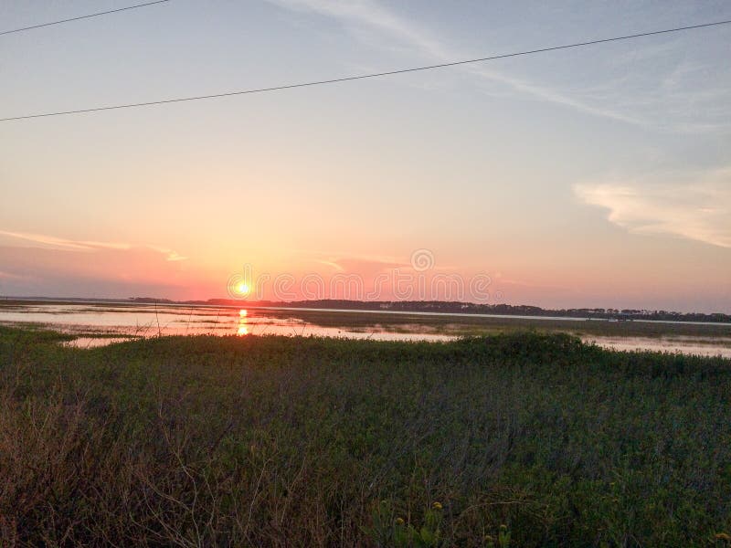 Marsh at dusk stock image. Image of south, bird, marsh - 485265