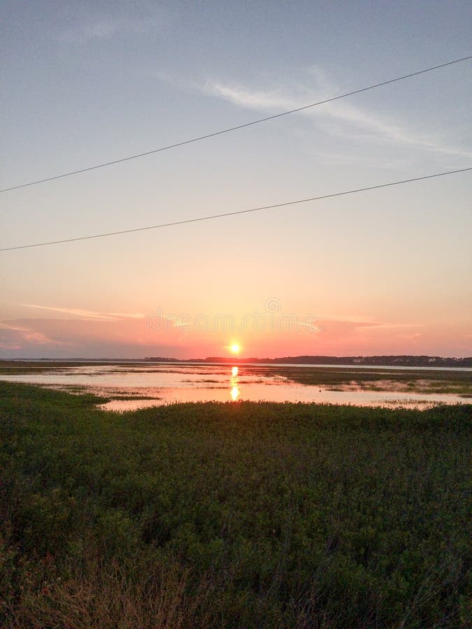 Marsh at dusk stock image. Image of south, bird, marsh - 485265