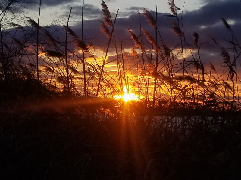 Sunset, Eastern Shore, Maryland, Beauty Stock Image - Image of maryland ...